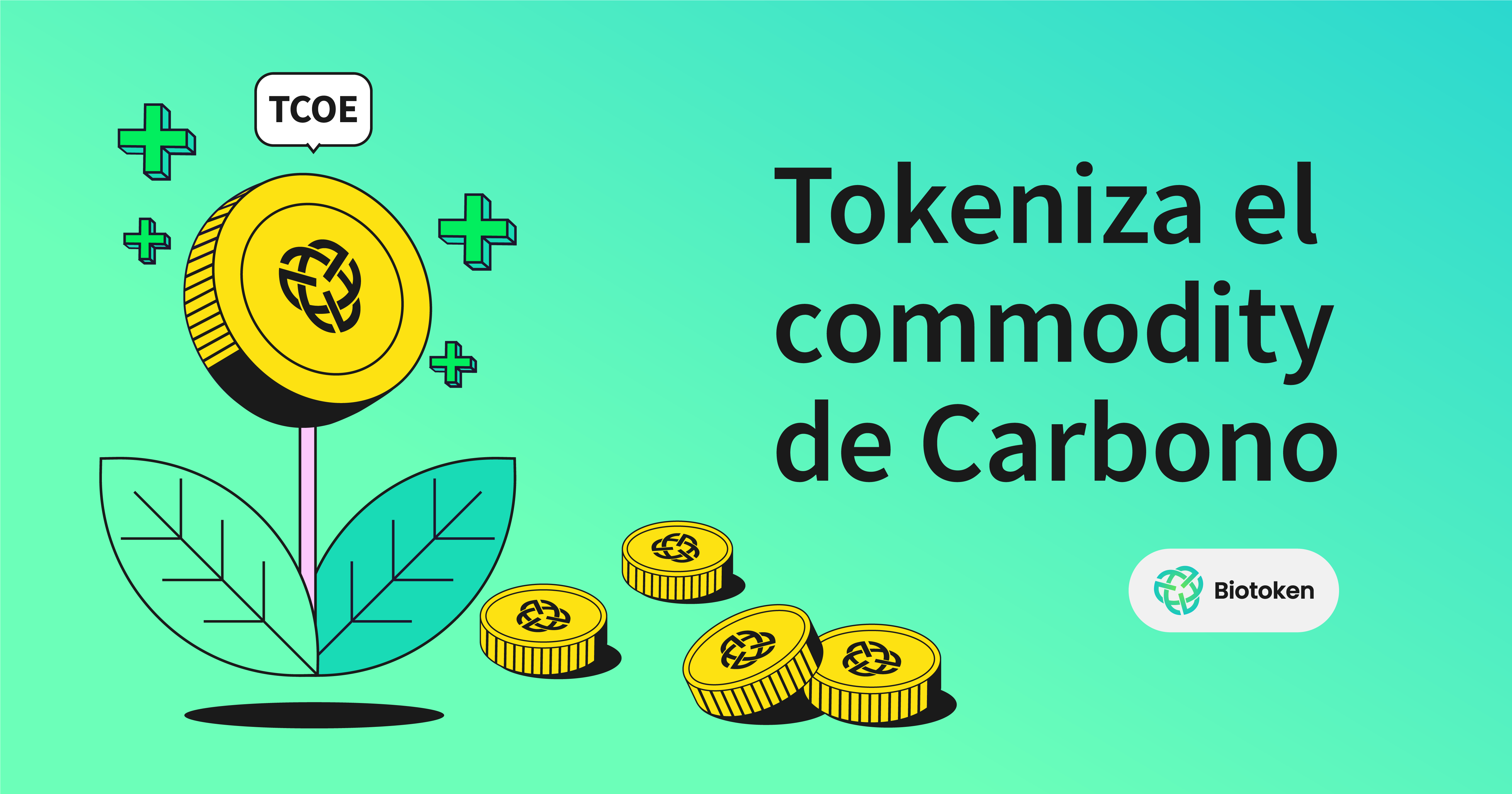 Biotoken - El valor de la actividad sostenible